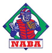Adult Baseball Tournaments 2024-MSBL, NABA and more