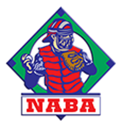 Adult Baseball Tournaments 2024-MSBL, NABA and more